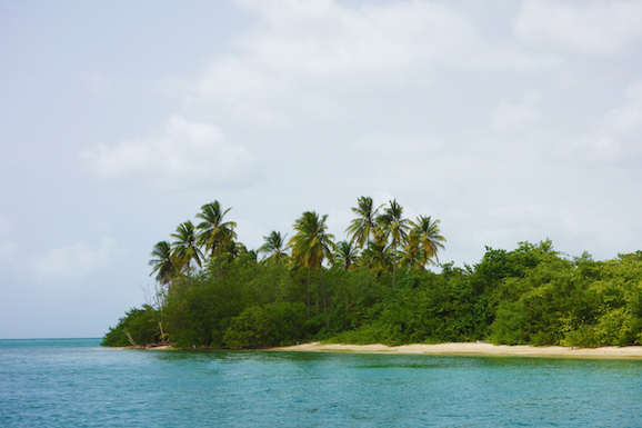 “Hard Decisions” for Tobago