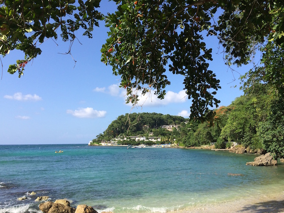 Round Hill’s Newest Additions