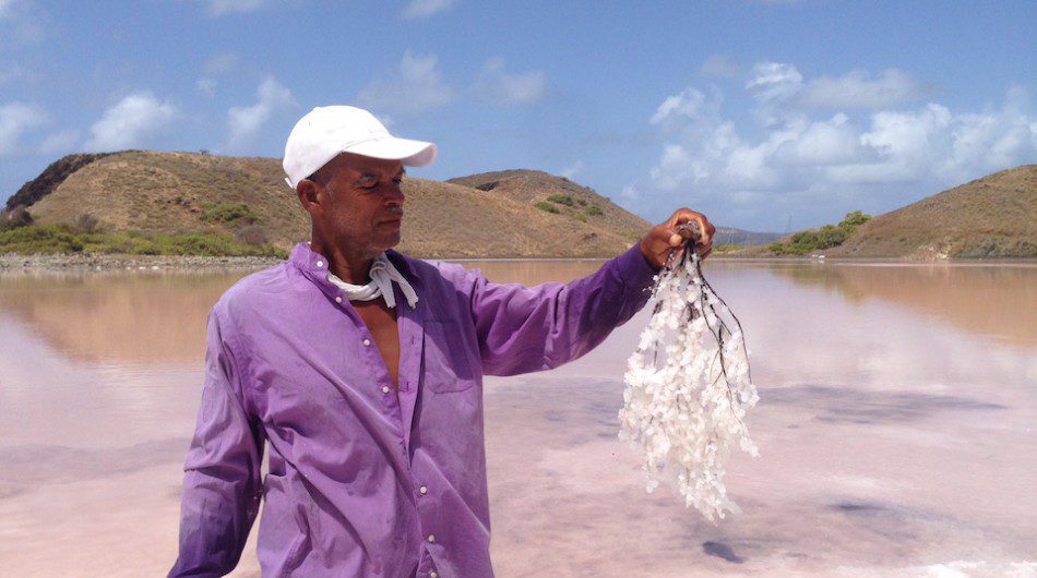 Caribbean Photo of the Week: Salt Island