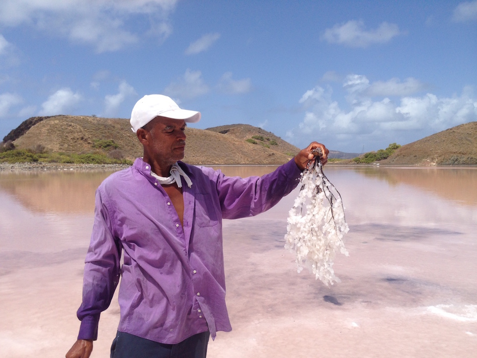 Caribbean Photo of the Week: Salt Island