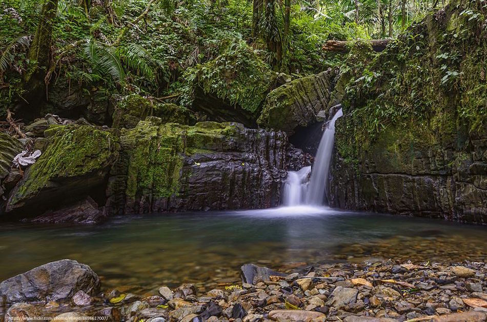 Puerto Rico Launching $15 Million Project to Transform El Yunque Gateway