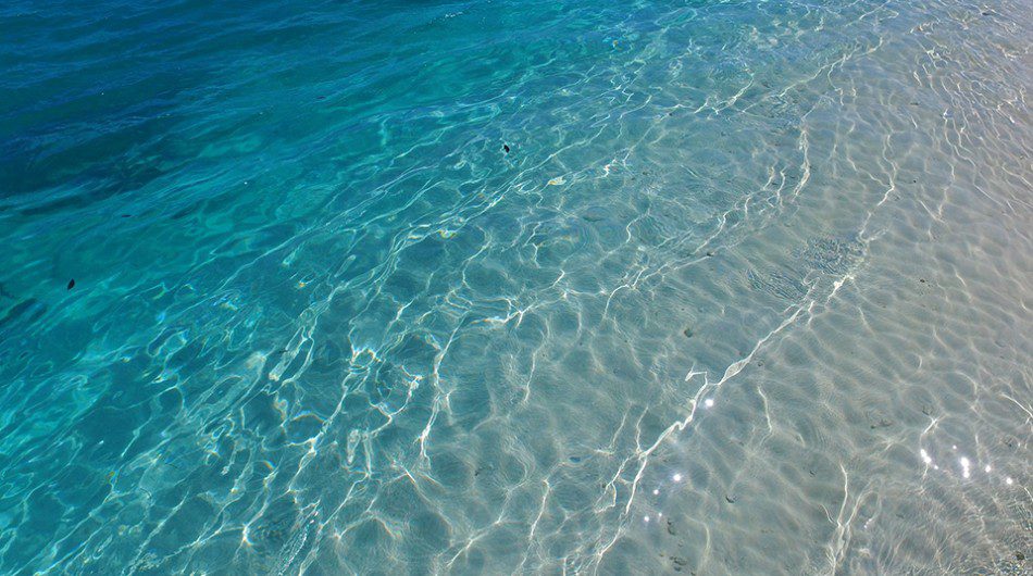 VIDEO: This Is One Very Good Reason to Visit Bimini