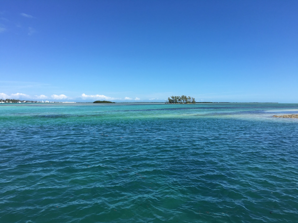 VIDEO: 14 Seconds on the Sea in South Bimini