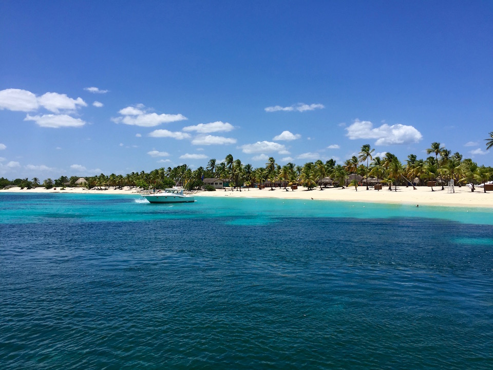 Falling in Love With Catalina Island