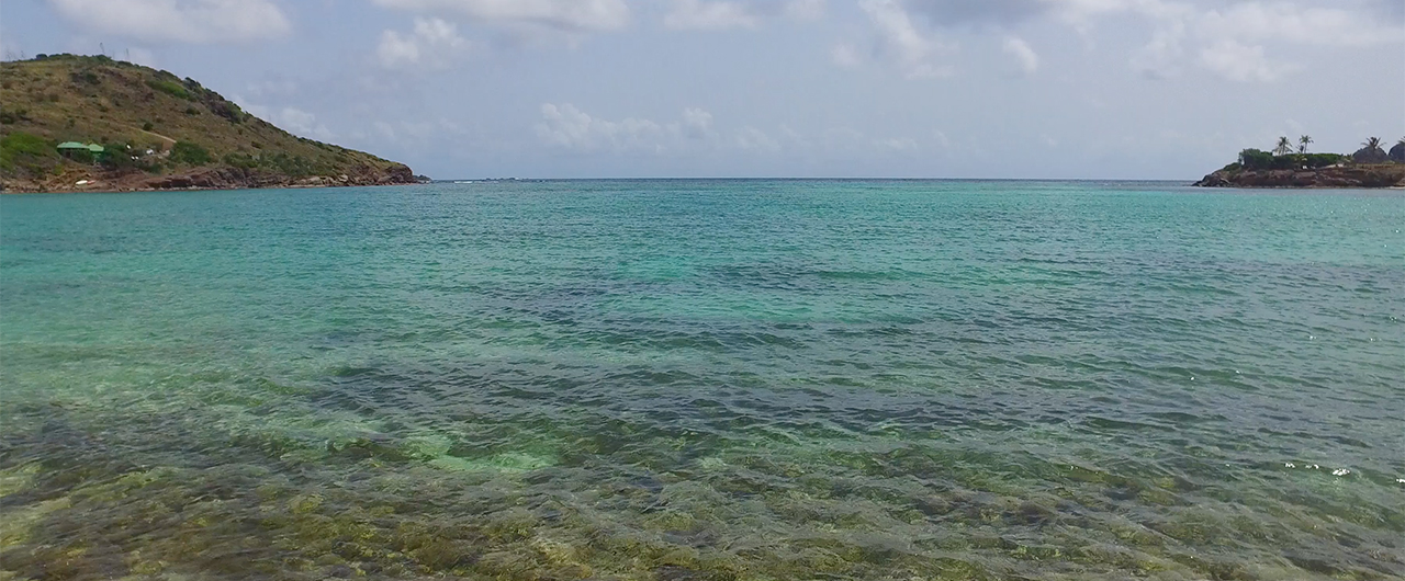 VIDEO: Seeing Clearly in St. Barth