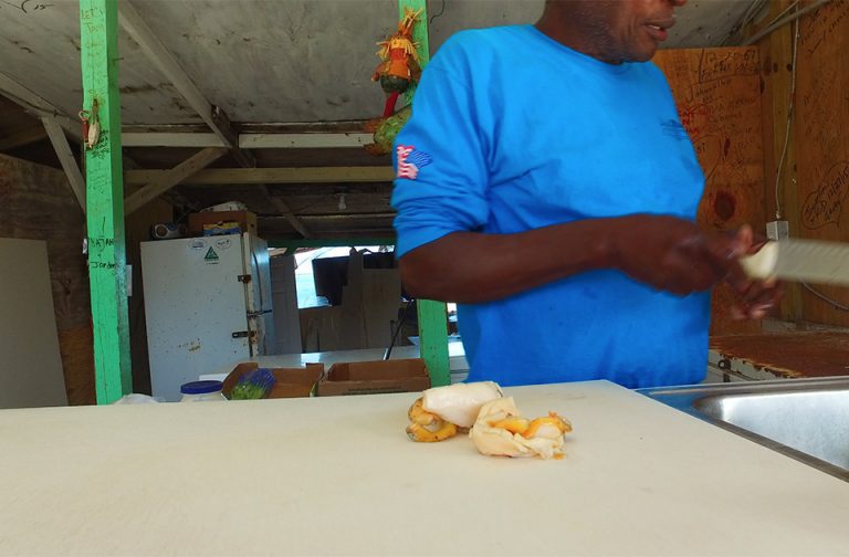 15 Photos That Will Make You Want to Visit Bimini - Page 2 of 14