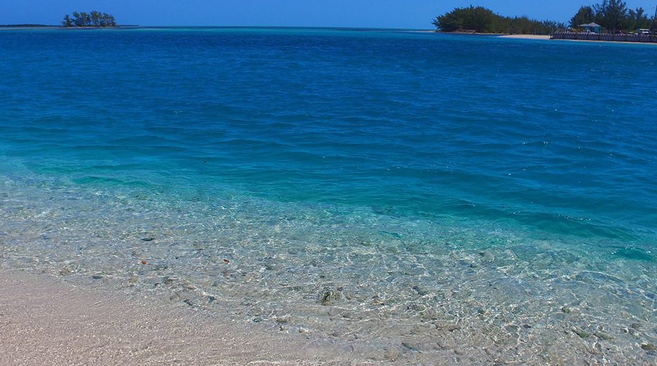 15 Photos That Will Make You Want to Visit Bimini