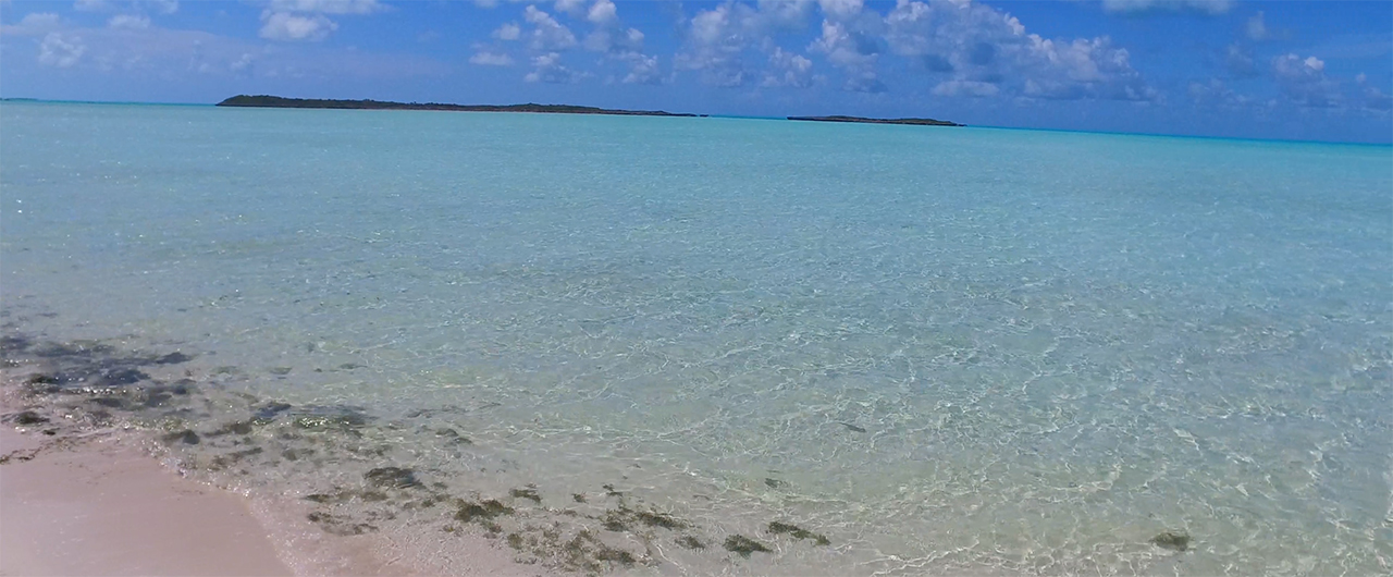VIDEO: On the Sand in the Exumas