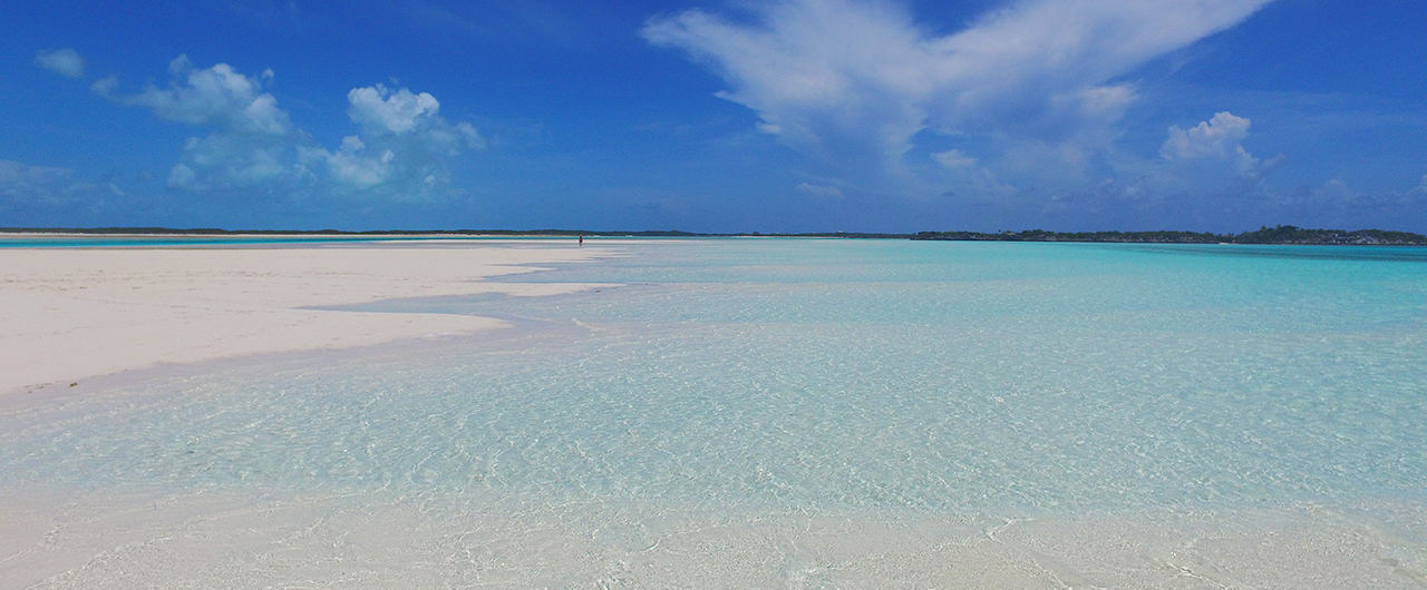 VIDEO: Walking on a Sandbar in the Exumas
