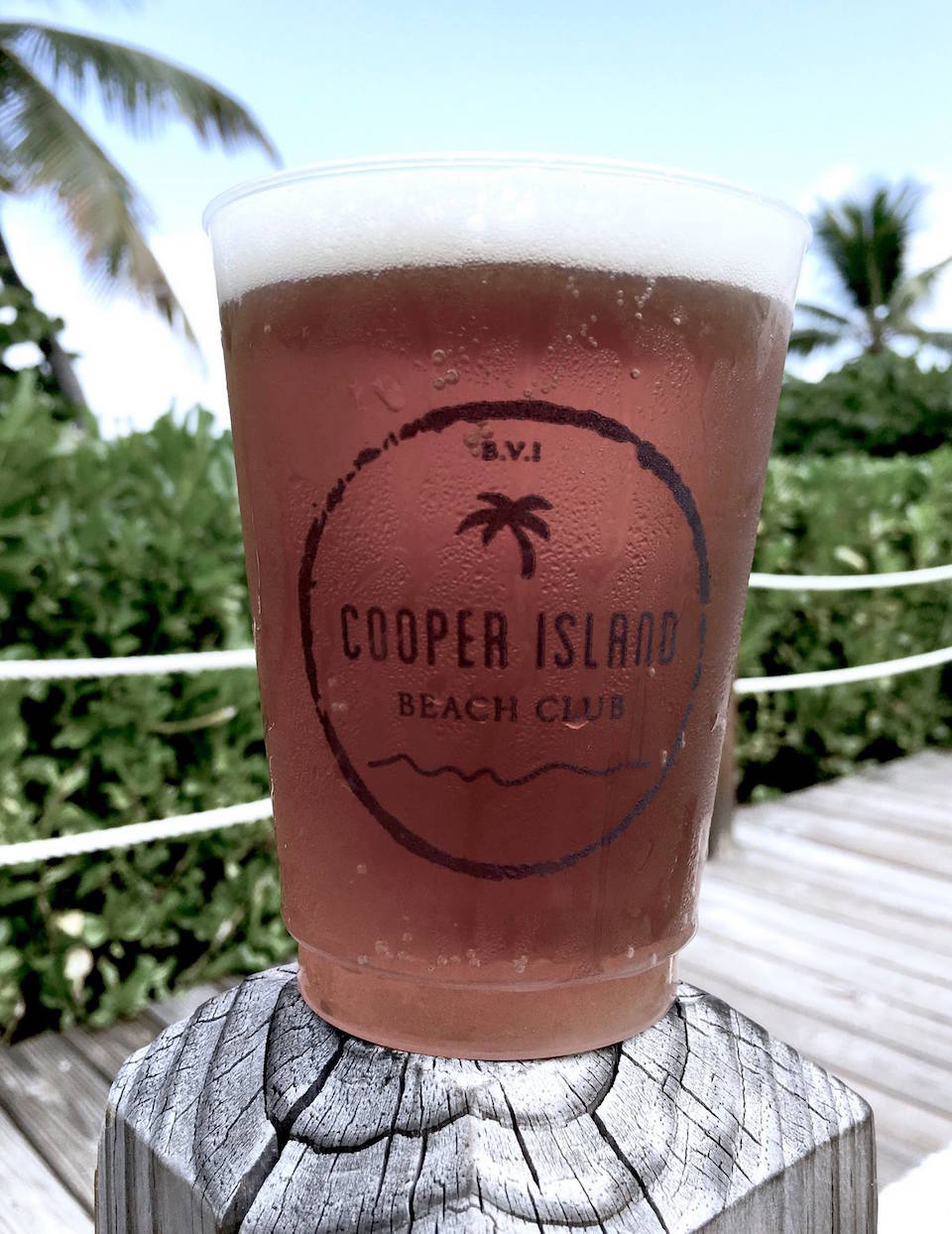 How to Drink Beer and Save Sea Turtles in the BVI