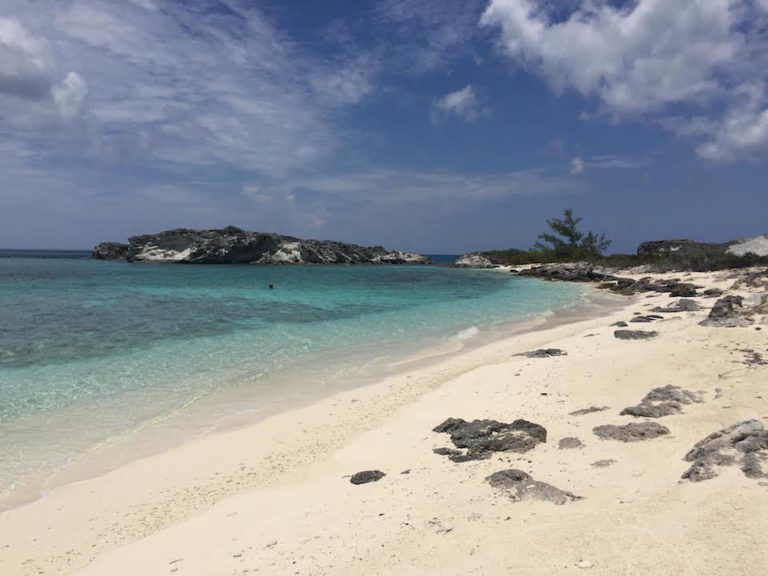 Caribbean Photo of the Week: Compass Cay, Exuma