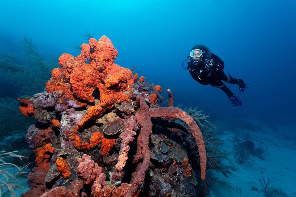 A Big Diving Festival in Saint Lucia