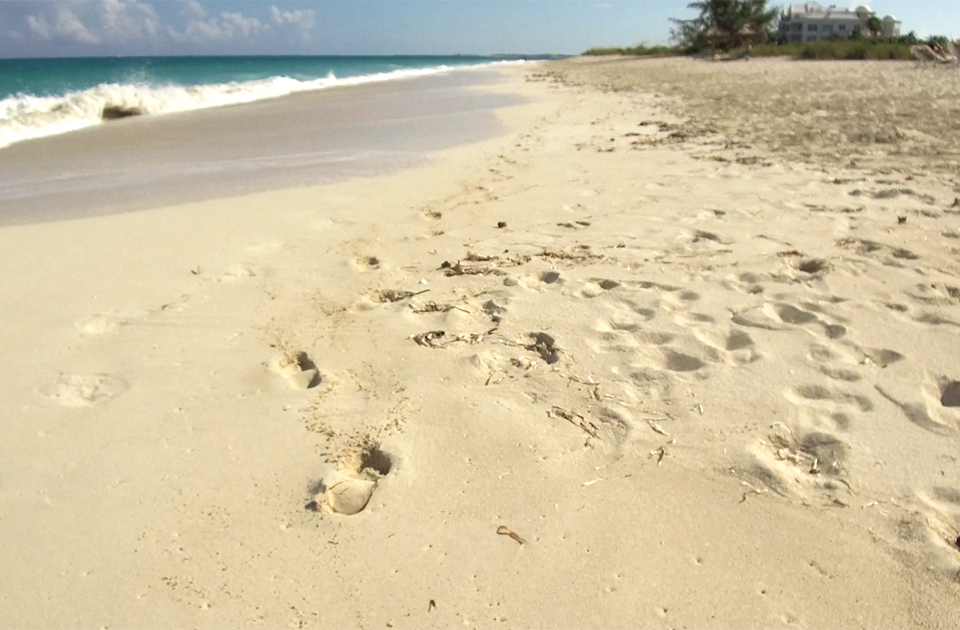 In Turks and Caicos, the Ultimate Beach Experience