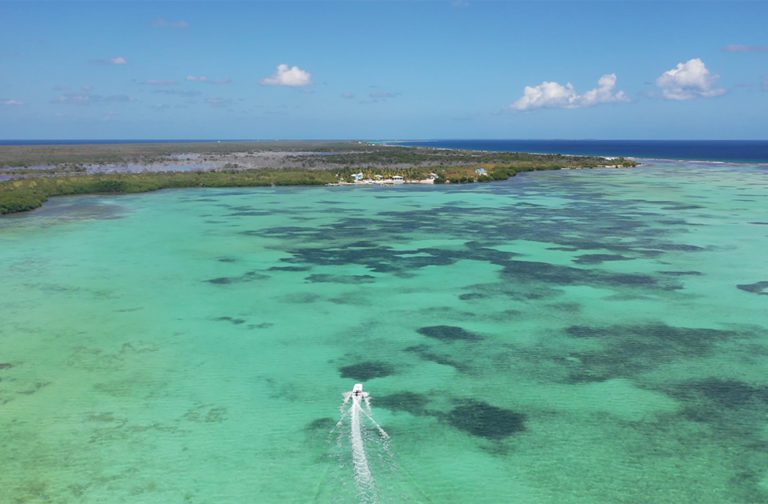 VIDEO: Little Cayman, an Untouched Gem of the Caribbean
