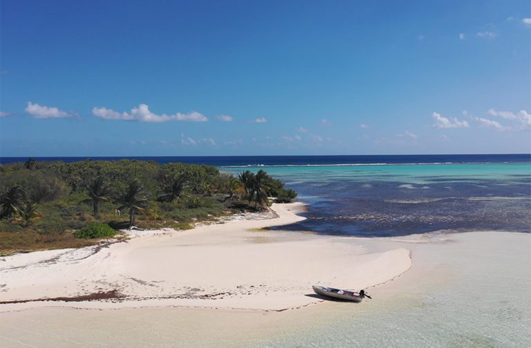 VIDEO: Little Cayman, an Untouched Gem of the Caribbean