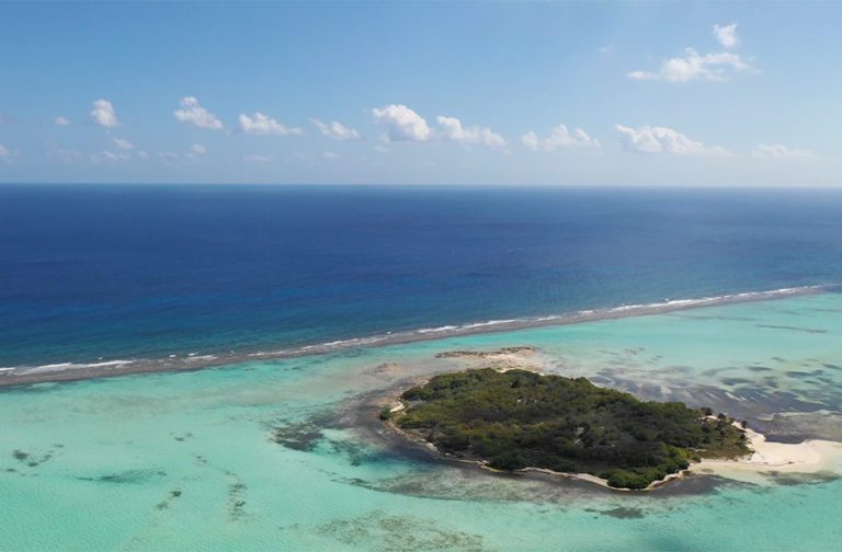 VIDEO: Little Cayman, an Untouched Gem of the Caribbean