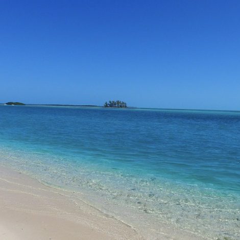 Caribbean Moment: A Perfect Sandbar in The Bahamas
