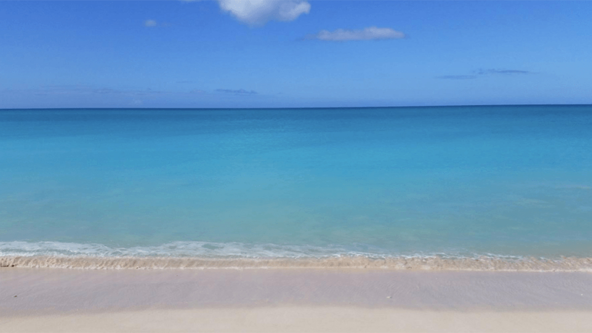 The 10 Best Pink Sand Beaches in the Caribbean - Page 2 of 10 Caribbean ...