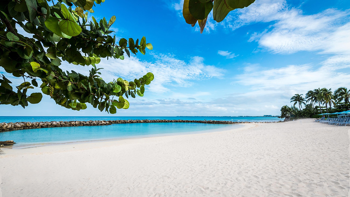The Cayman Islands Has A New Tourism Minister Caribbean Journal