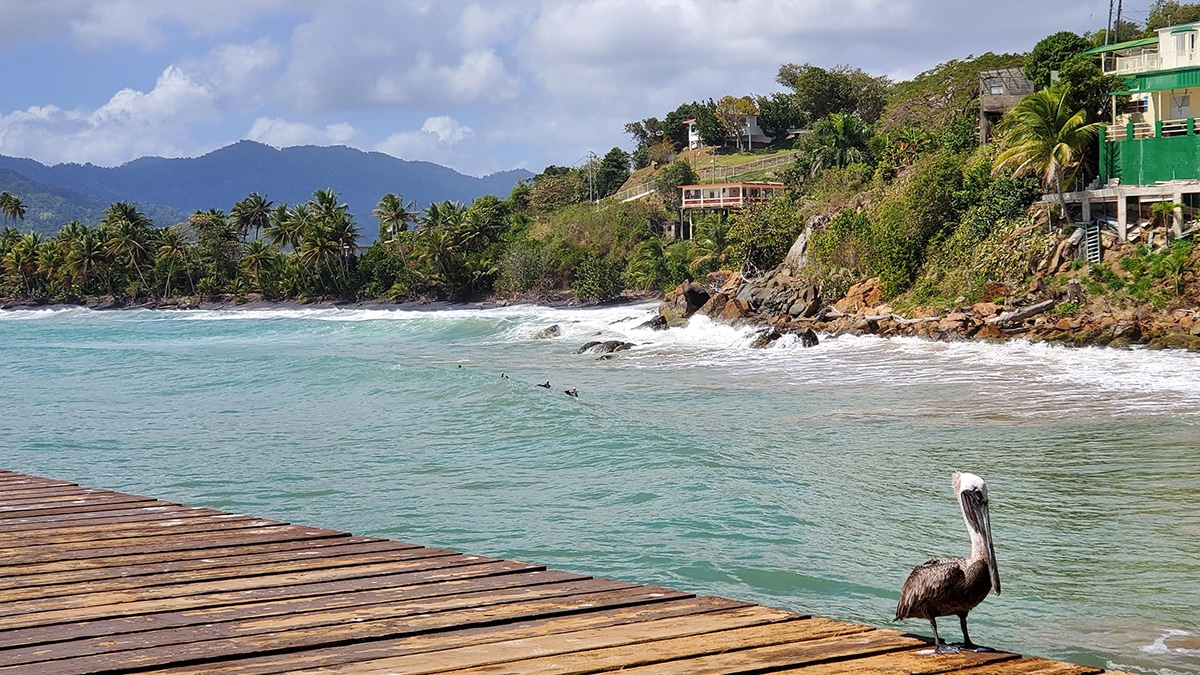 Caribbean Photo of the Week: Patillas, Puerto Rico