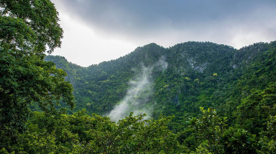 The Island of Statia Is Is Reopening to Vaccinated Travelers Caribbean ...