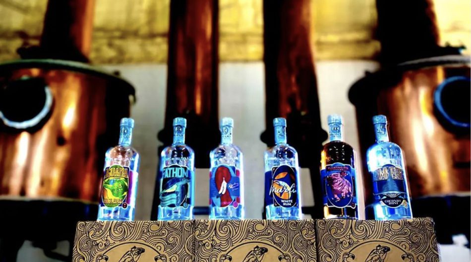 The State of Coral Reefs in the Bahamas