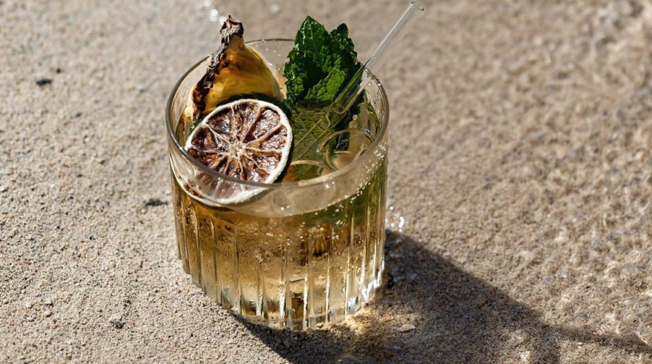 Rum Journal: From the Rainforests of Brazil, an Eco-Friendly Cachaca