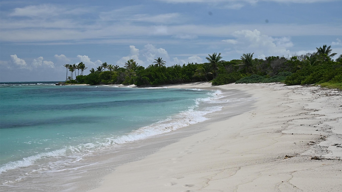 Caribbean Photo of the Week: Petit Tabac in the Grenadines
