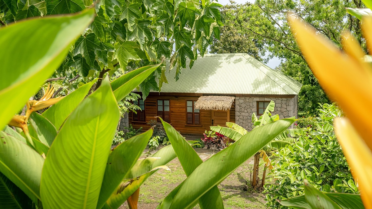 20 Cheap Caribbean Hotels for an Affordable Vacation - Page 16 of 20