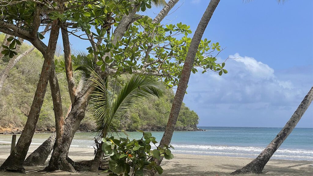 Caribbean Photo of the Week: On the Beach in Grenada