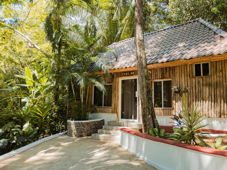 At the Falling Leaves Lodge in Belize, a Portal to the Maya World