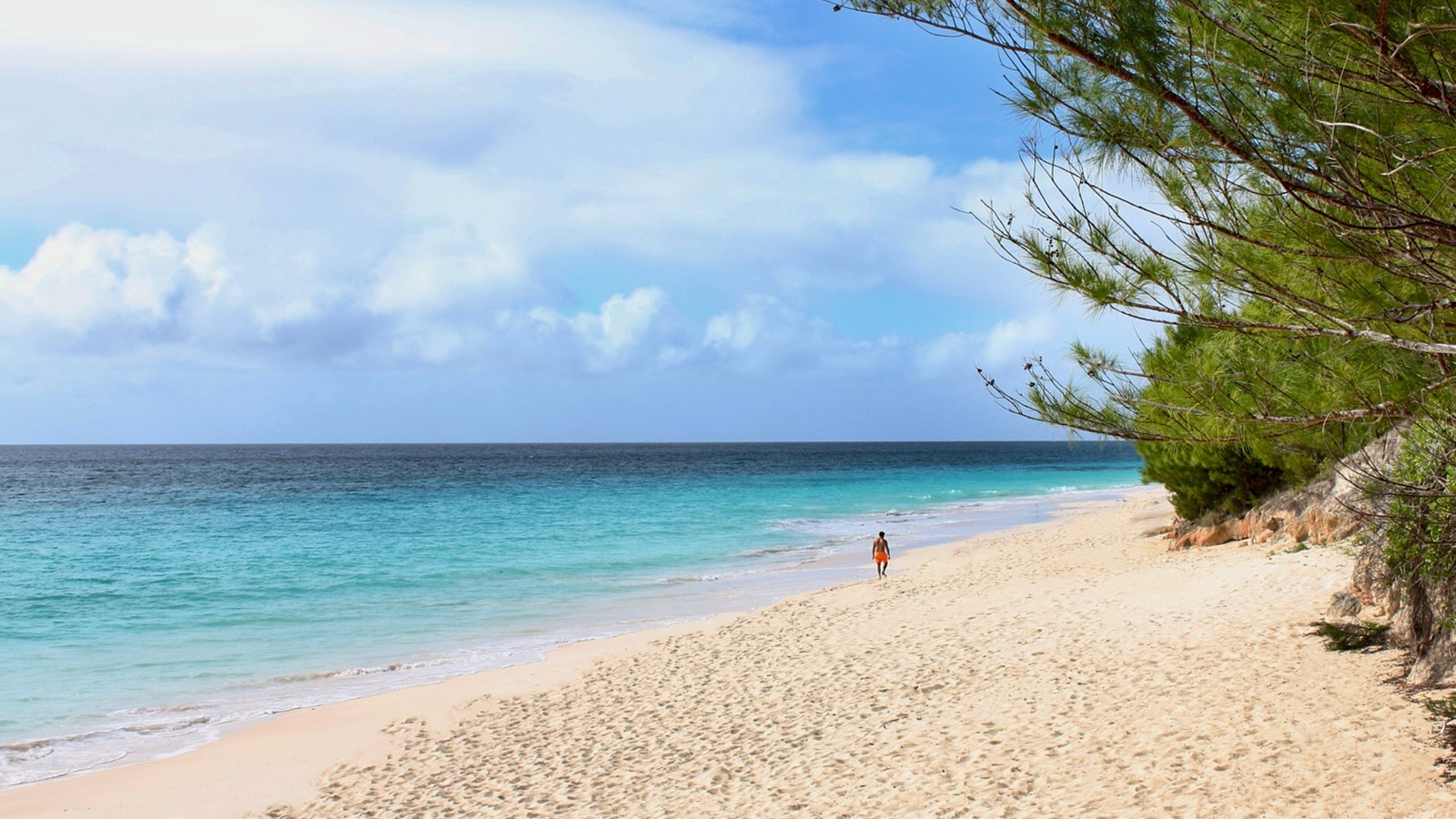 This New Nonstop Flight Takes You Straight to Bermuda’s Pink Sand Beaches