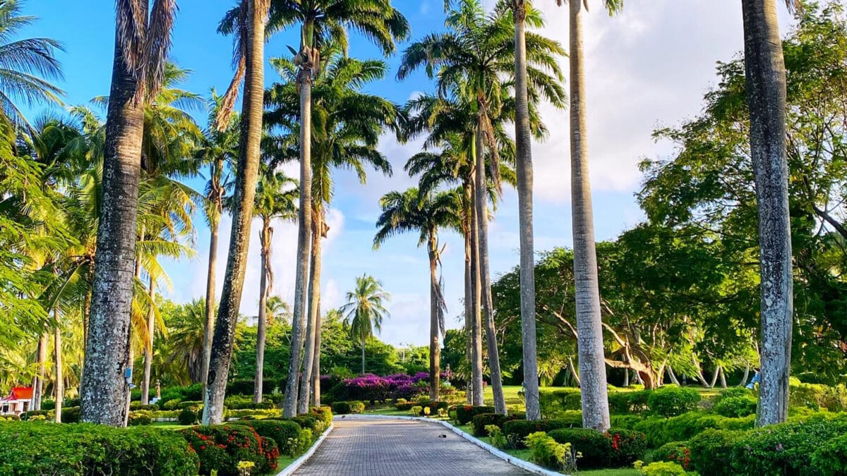 The 15 Best Hotels in Trinidad and Tobago, From Hidden Eco-Retreats to ...