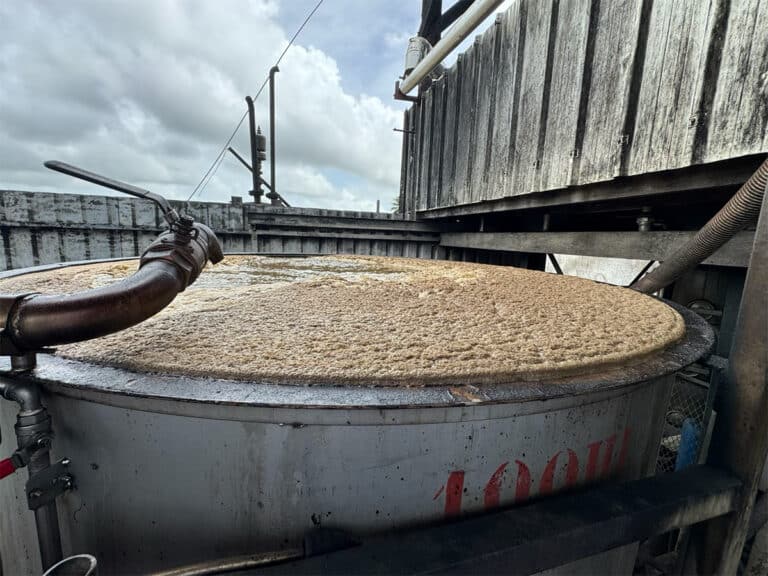 What is Rhum Agricole? The Ultimate Guide to the French Caribbean Spirit
