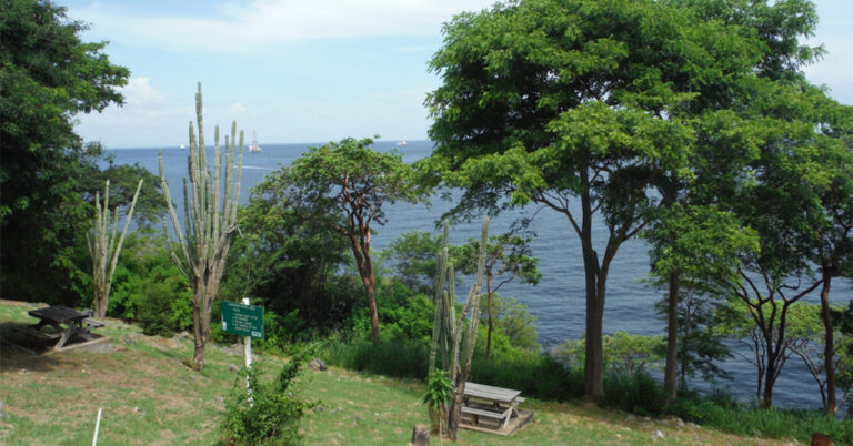 The Best Places for Island Hopping in the Caribbean — From the BVI to ...