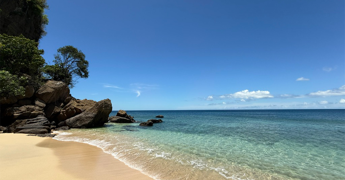 These 25 Caribbean Beaches Feel Like They Were Designed for Honeymoons ...